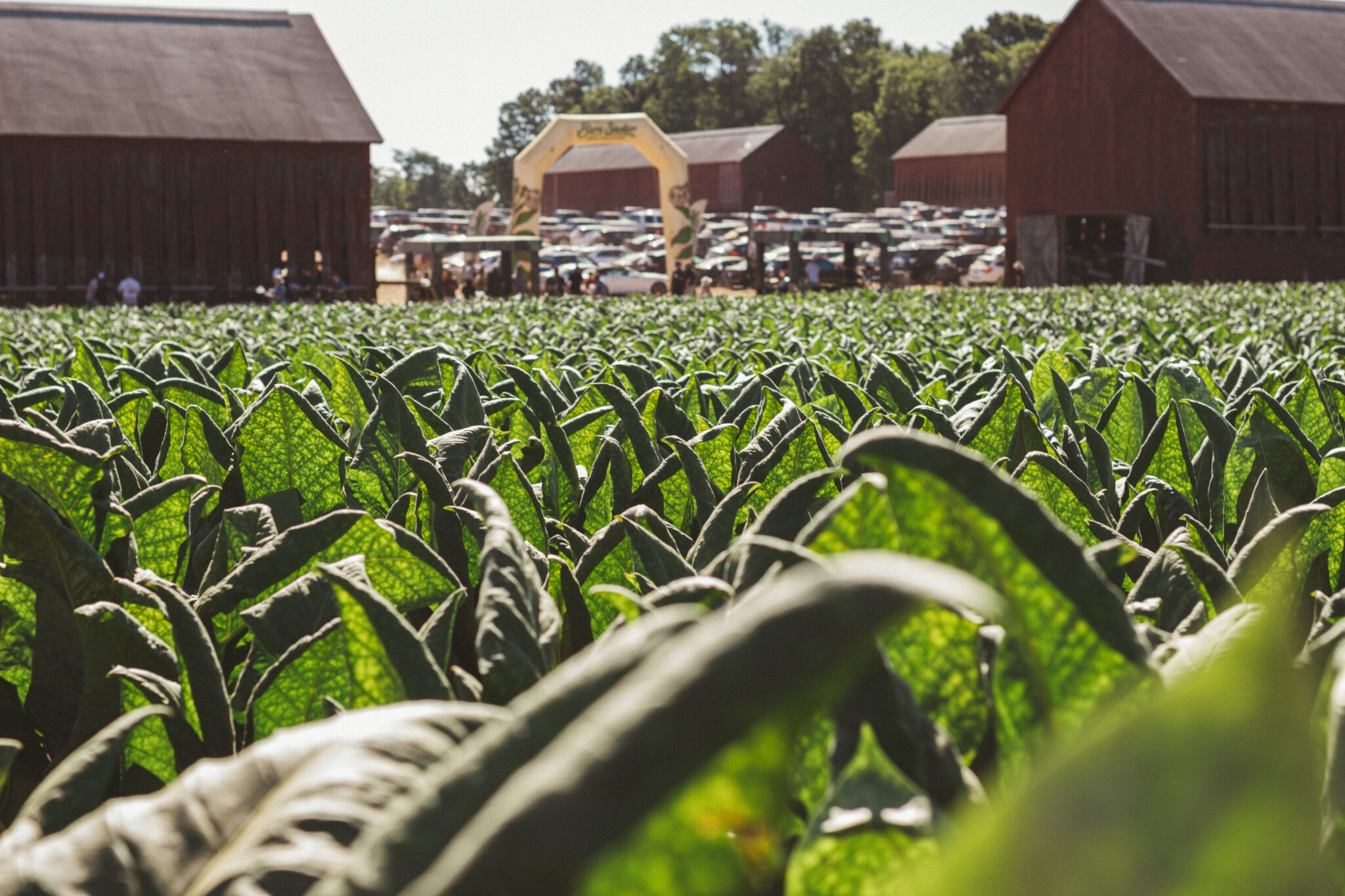 Drew Estate’s Connecticut Barn Smoker 2022 - The Estate Strikes Back ...